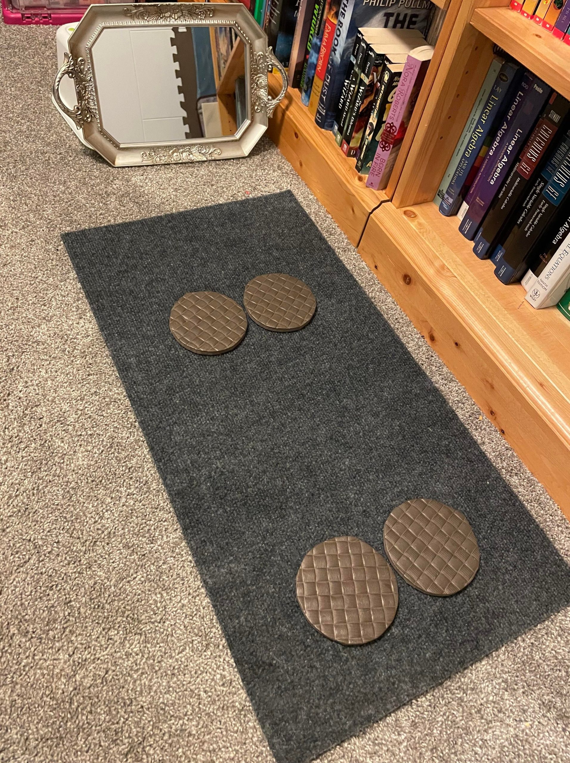 Feet Targets for Canine Fitness - Sit Stay Squat