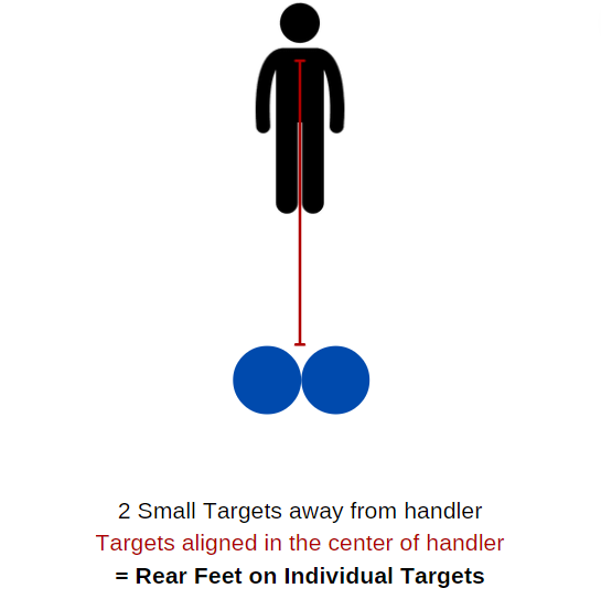 Base Position - Sit Stay Squat