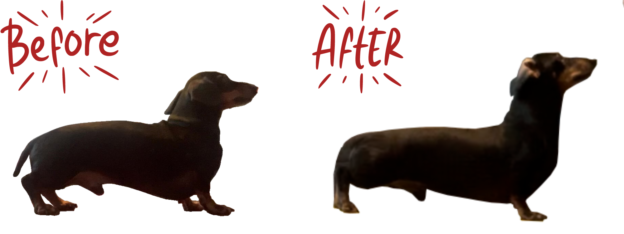 Little Leg (Long Back) Fitness - Sit Stay Squat