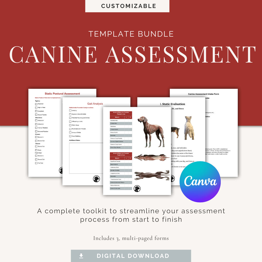 Canine Assessment Canva Template Bundle - Sit Stay Squat