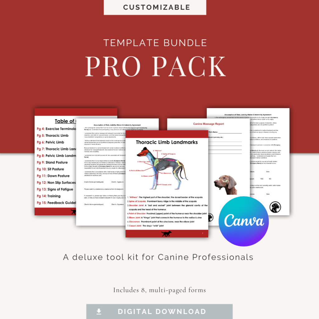 Pro Pack Bundle – The Complete Canine Wellness Canva Template ...