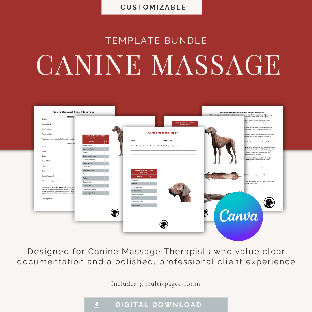 Canine Massage Canva Template Bundle - Sit Stay Squat